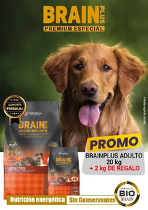 Promo Brain Plus Premium Adulto 20+2kg Con Regalo – Veterinaria La Hacienda