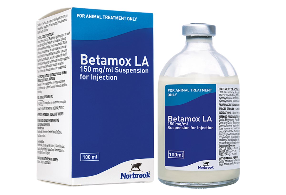 Betamox LA (Amoxicilina 150mg) Inyectable x 100ml – Veterinaria La Hacienda