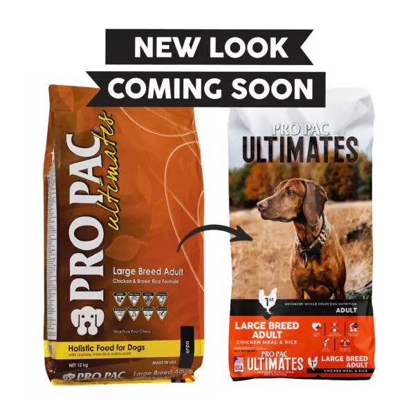 Pro Pac Large Breed Adult Chicken & Brown Rice 20kg con Regalo ...
